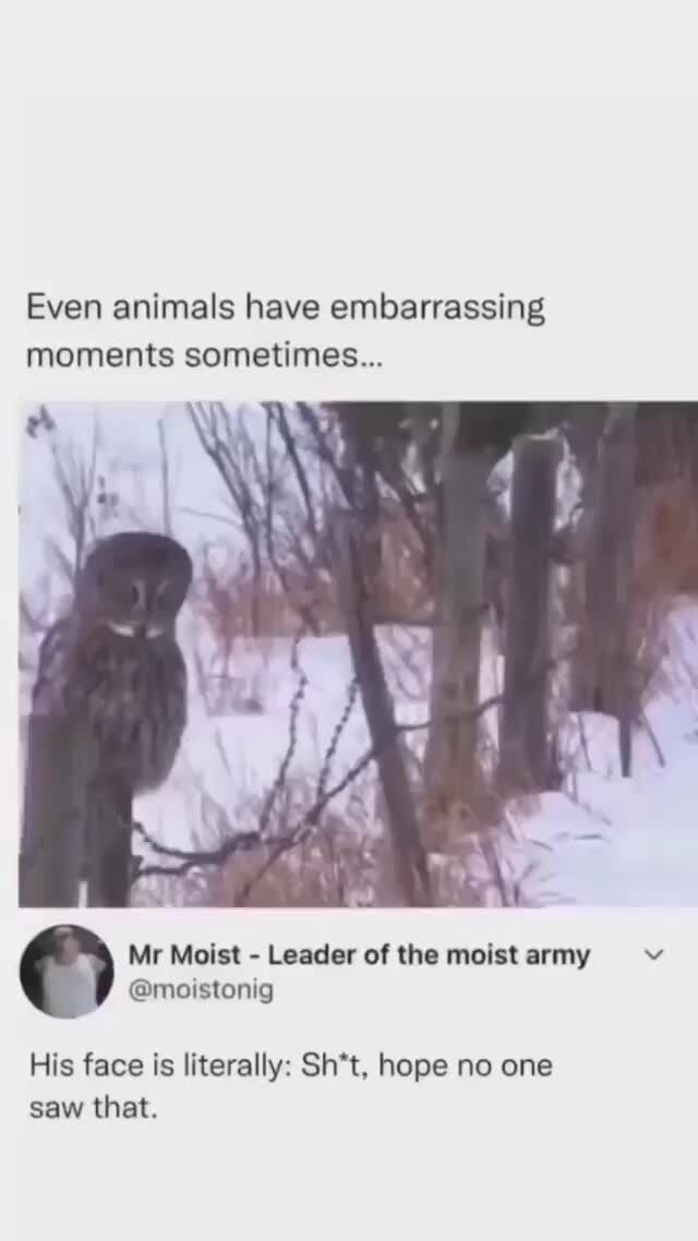 Even animals have embarrassing moments sometimes... His face is ...