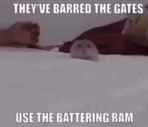 THEy UE BARRED THE GATES USE THE BATTERING RAM - iFunny