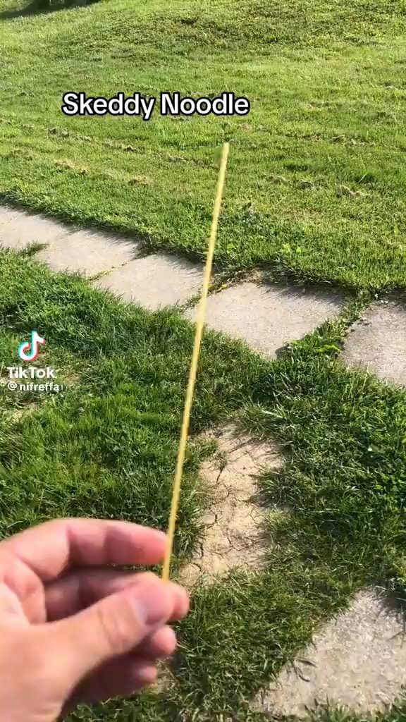 Skeddy Noodle cf _TikTok - iFunny