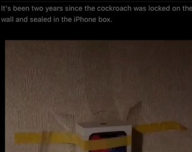 It's been two years since the cockroach was locked on the wa I and sea ...