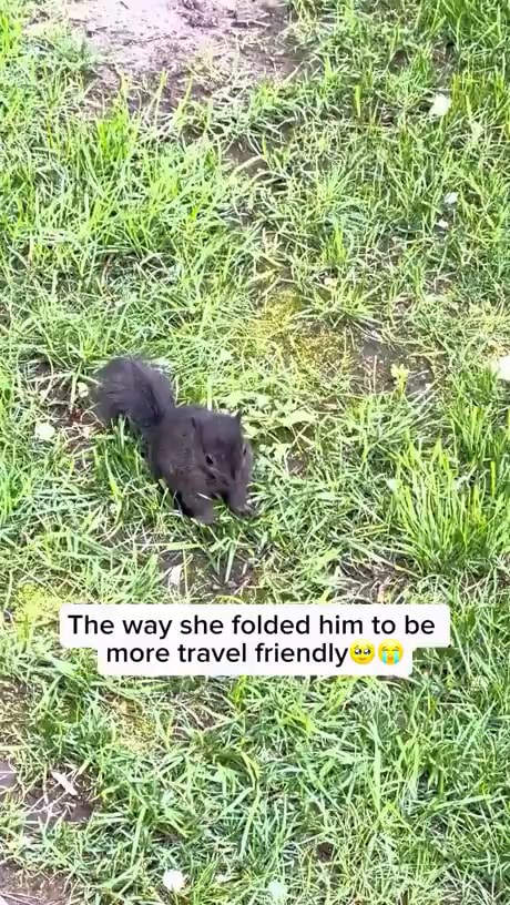 The way she folded him to be ore travel - iFunny