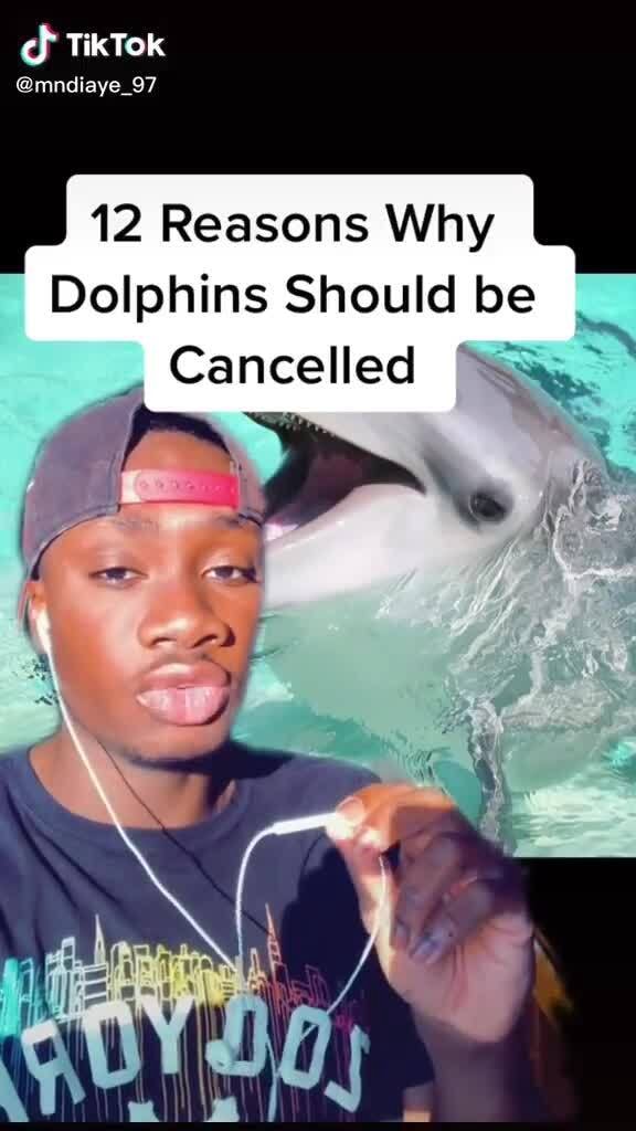 Of TikTok @mndiaye_97 12 Reasons Why Dolphins Should be Cancelled 7 in ...