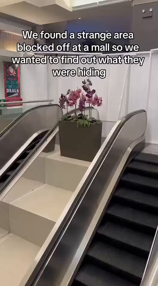 We: We found a strange area blocked off at a mall so we wanted to find ...