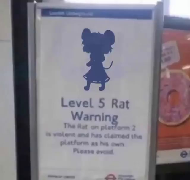 Level 5 Rat Warning The Mat on piist od has hed the - iFunny