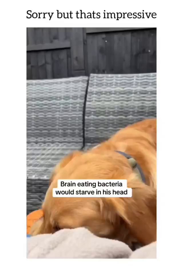 Sorry but thats impressive Brain eating bacteria would starve in his ...