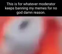 This is for whatever moderator keeps banning my memes for no {god damn ...