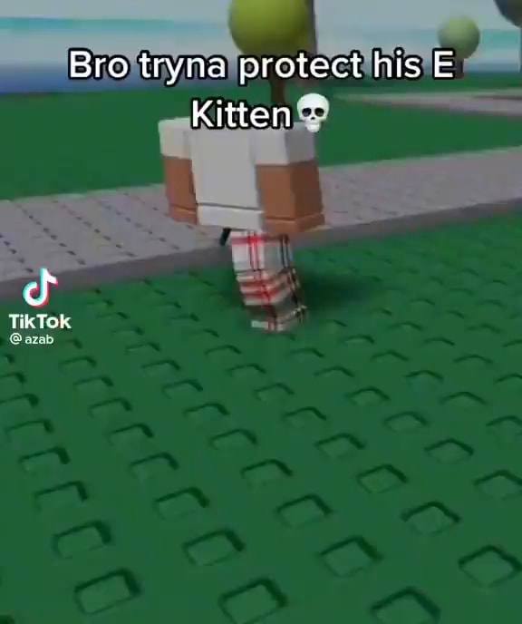 Bro tryna protect his E Kitten Tk Tok - iFunny