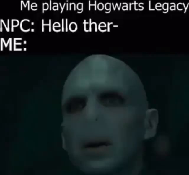 Me playing Hogwarts Legacy NPC: Hello ther- ME: - iFunny