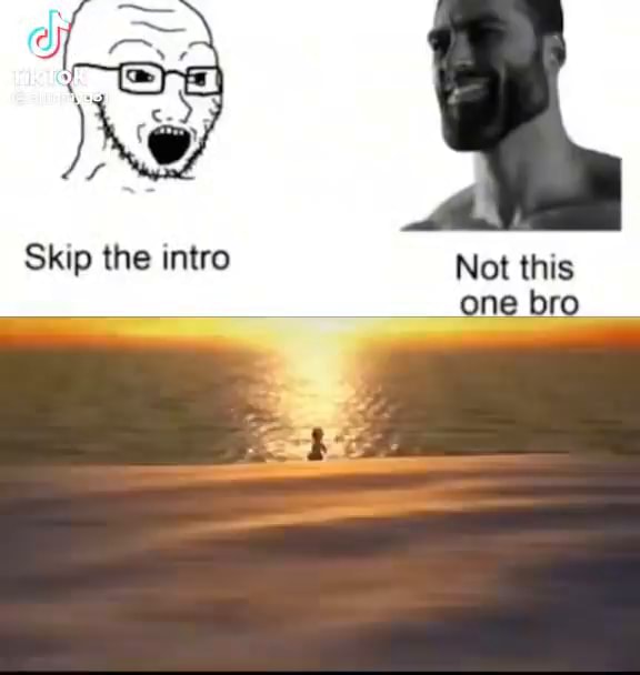 Skip the intro Not this one bro - iFunny