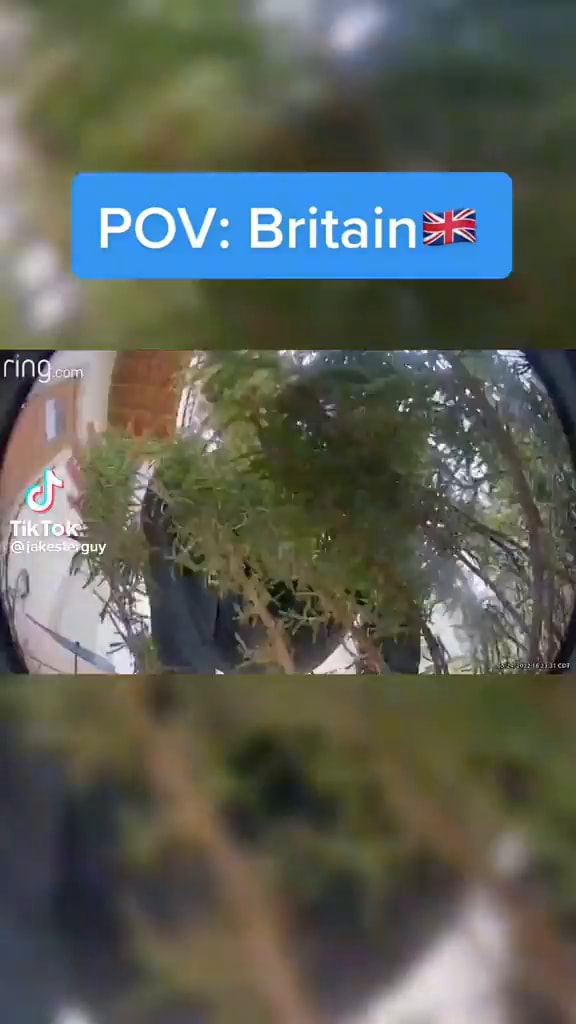 POV: Britain ring ch Tik Tok - iFunny