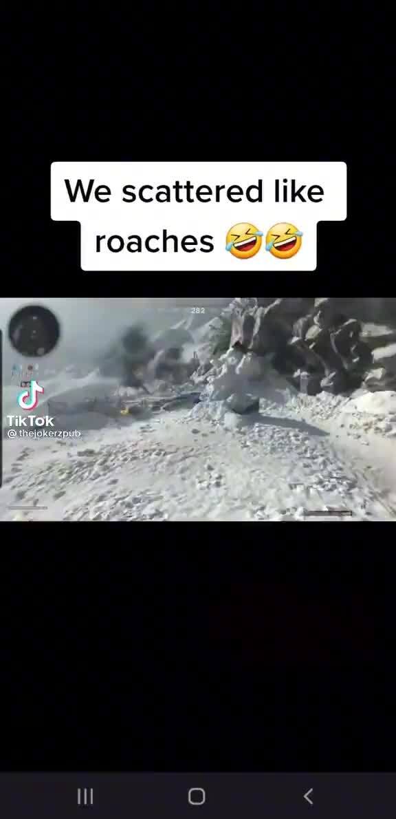 We scattered like roaches TikTok ill - iFunny