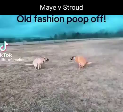 Maye Stroud Old fashion poop off! - iFunny
