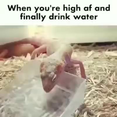 When you're high af and finally drink water - iFunny