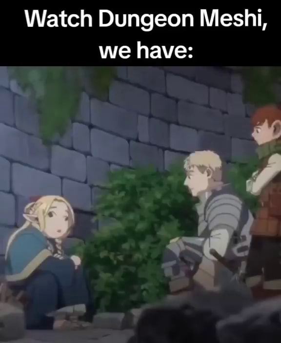 Watch Dungeon Meshi, we have: - iFunny