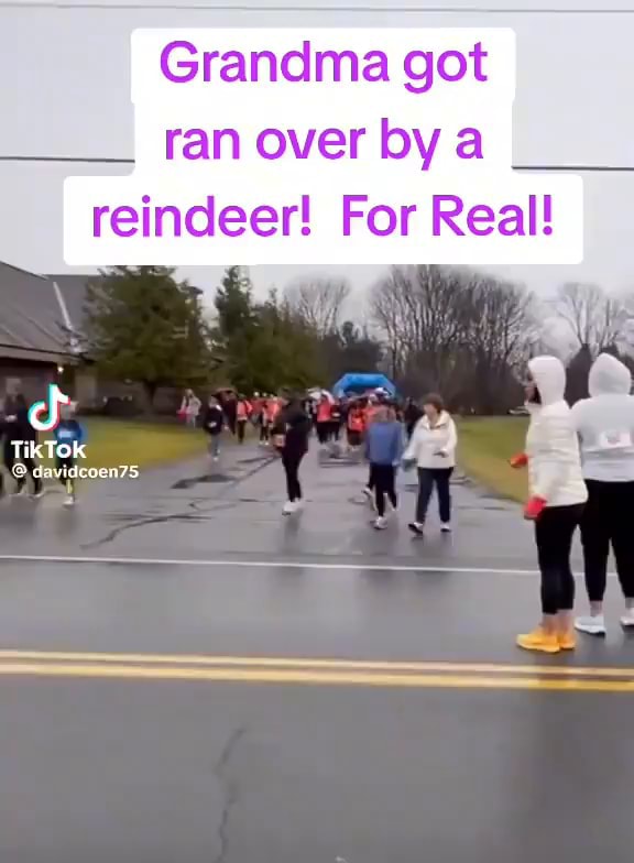 Grandma got ran over by a reindeer! For Real! TikTok - iFunny