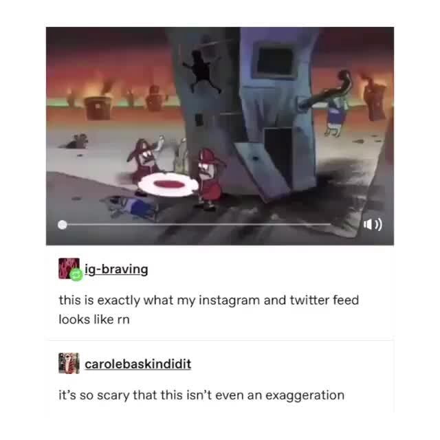 Ig-braving this is exactly what my instagram and twitter feed looks ...