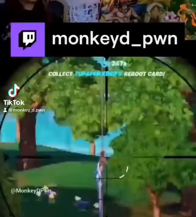 Monkeyd_pwn coLLECT. REBOOT CARDI - iFunny