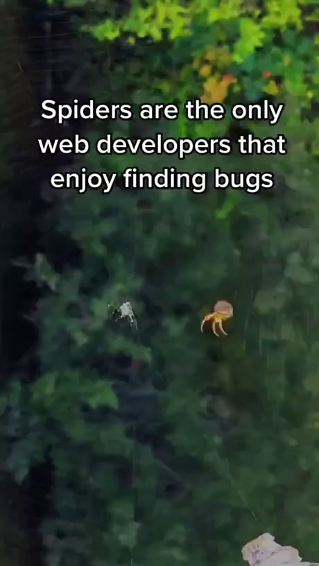 Spiders are the only web developers that enjoy finding bugs - iFunny