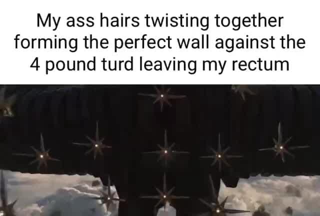 My ass hairs twisting together forming the perfect wall against the 4 ...