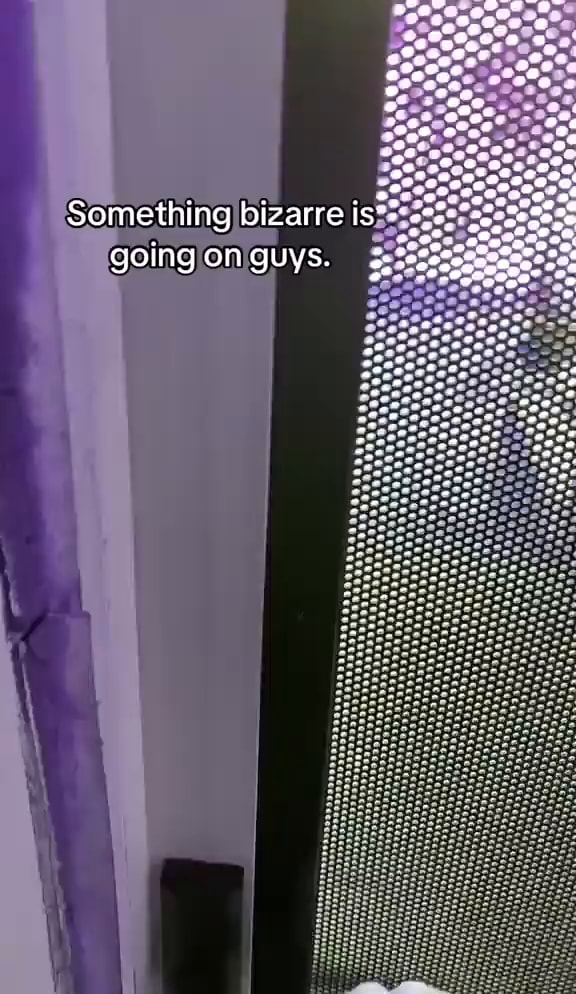 G bizarre is* Somethin DD - iFunny