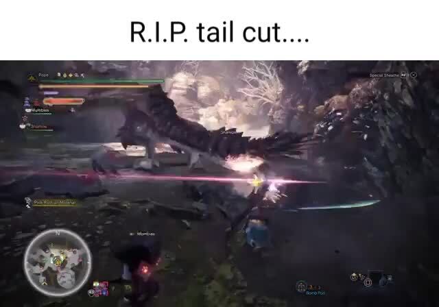 RIP tail cut.... - iFunny