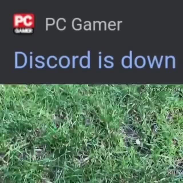 PC Gamer Discord is down - seo.title