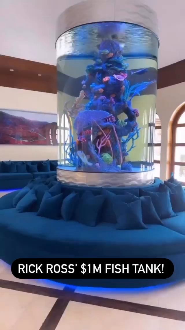 #RickRoss showing off his $1M aquarium! 👀🐟 @richforever - I RICK ROSS ...