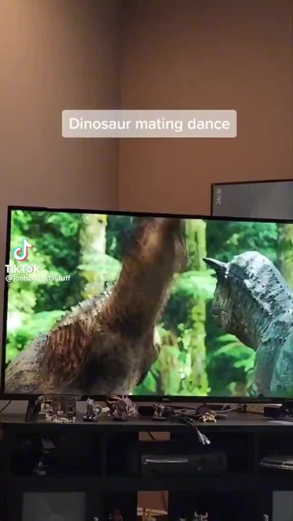 Dinosaur mating dance Tik Tok - iFunny