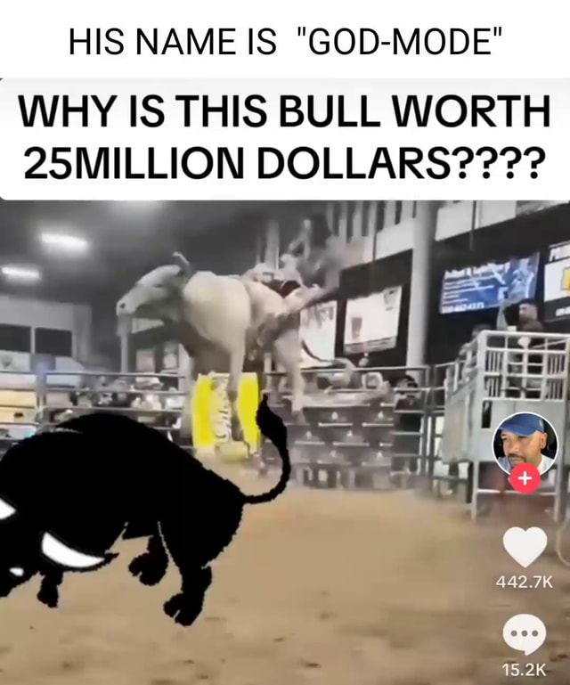 HIS NAME IS "GOD-MODE" WHY IS THIS BULL WORTH MILLION DOLLARS ...