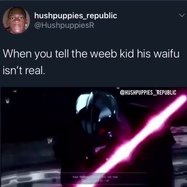 When you tell the weeb kid his waifu isn't real. - iFunny