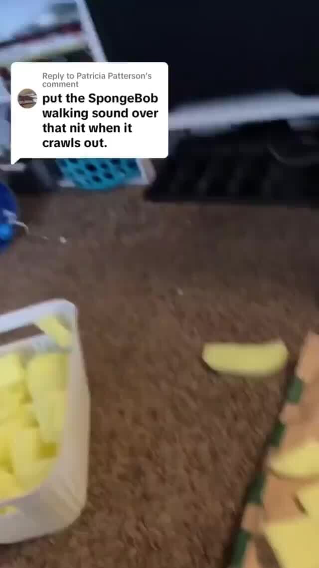 To put the SpongeBob walking sound over that nit when it crawls out ...