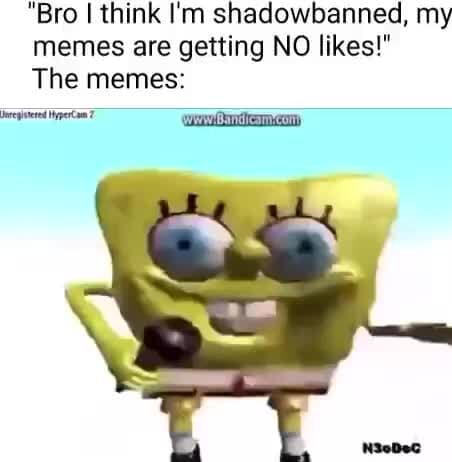 "Bro I think I'm shadowbanned, my memes are getting NO likes!" The ...