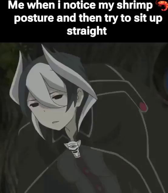 Me when i notice my shrimp posture and then try to sit up straight - iFunny