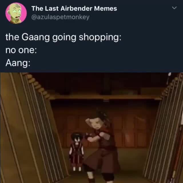 The Last Airbender Memes the Gaang going shopping: no one: Aang: - iFunny