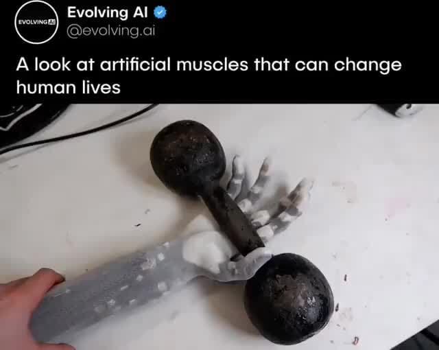 Evolving Al K ang A look at artificial muscles that can change human ...