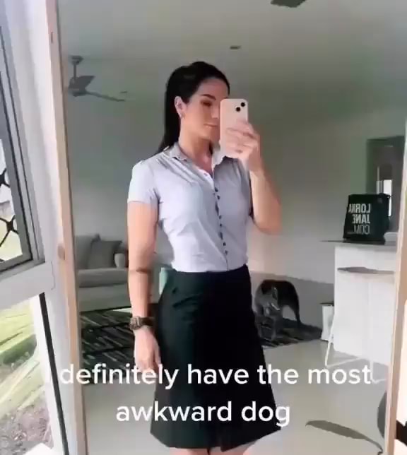 Definitely have the most awkward dog - iFunny