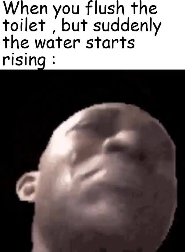 When you flush the toilet , but suddenly the water starts rising : - iFunny