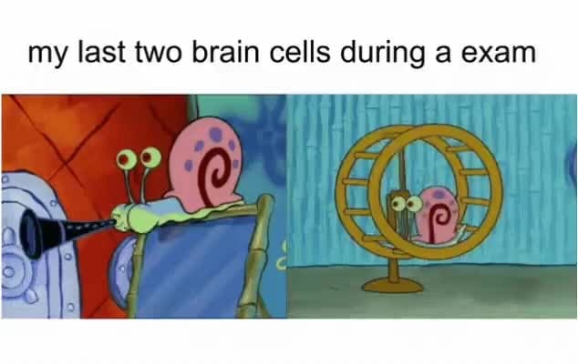 My last two brain cells during a exam - iFunny