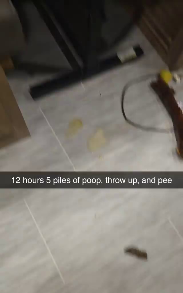 12 hours 5 piles of poop, throw up, and pee - iFunny