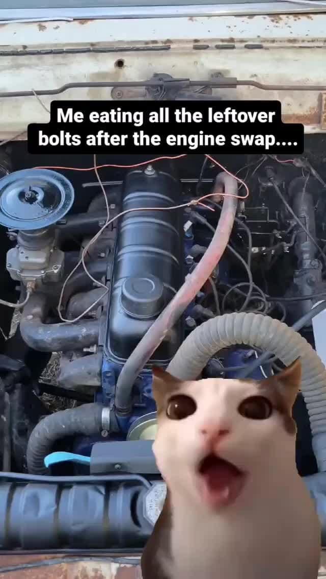 Me eating all the leftover bolts after the engine swap.... - iFunny