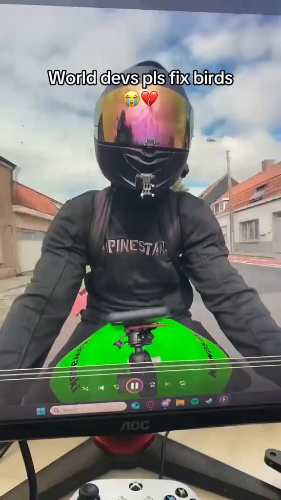 World devs pls fix birds - iFunny