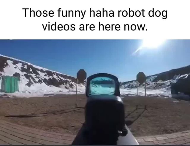 Those funny haha robot dog videos are here now. - iFunny