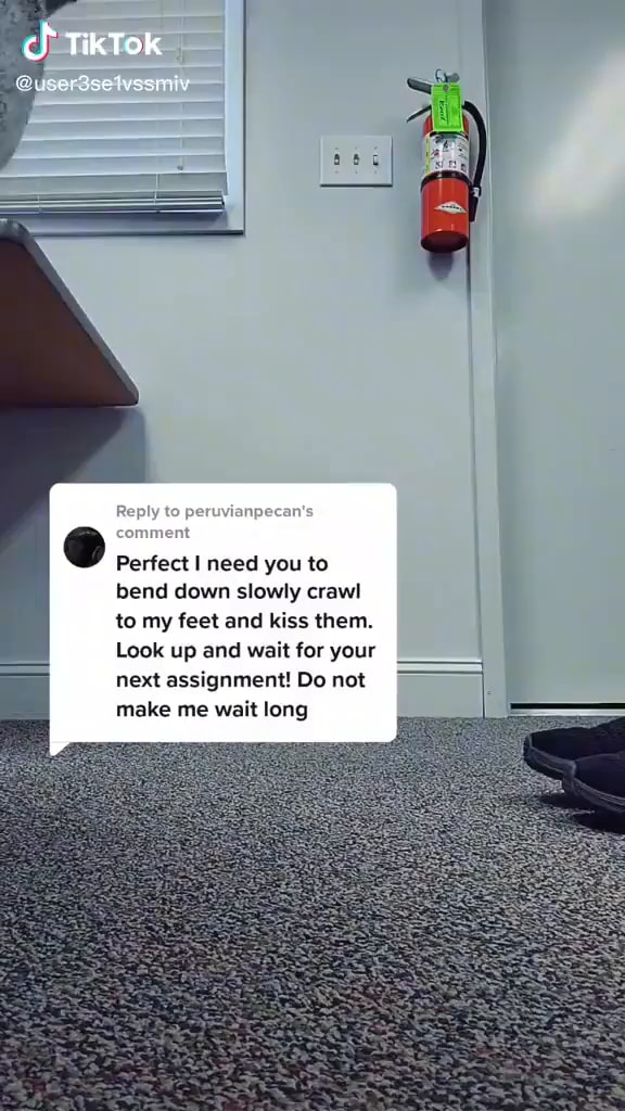 Ch TikTok Perfect I need you to bend down slowly crawl to my feet and kiss them. Look up and ...