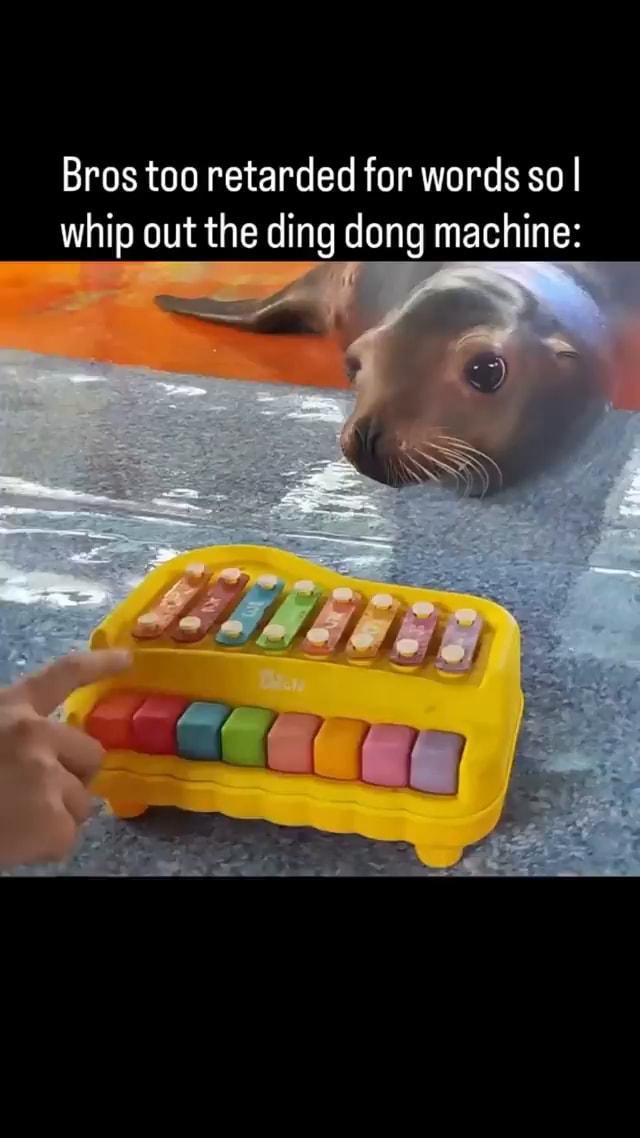 Bros too retarded for words so I whip out the ding dong machine: We ...