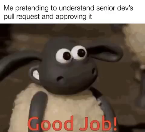 Me pretending to understand senior dev's pull request and approving it ...