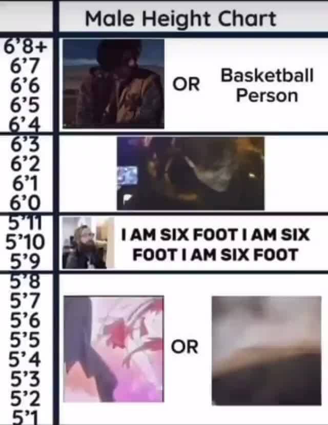 Male Height Chart OR Basketball Person SIX FOOT AM SIX FOOT I AM SIX ...