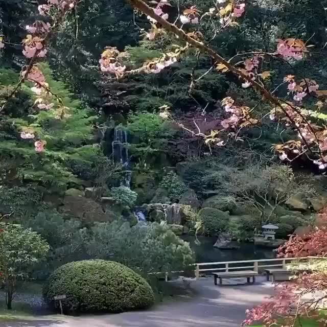 Video memes rI18wBLc7 by Marla_Singer__2015 - iFunny