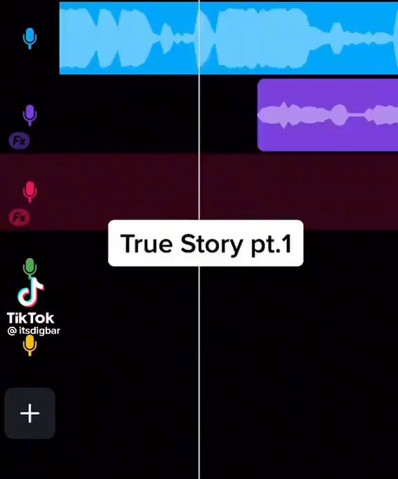 True Story pt.1 TikTok @itsdigbar - iFunny