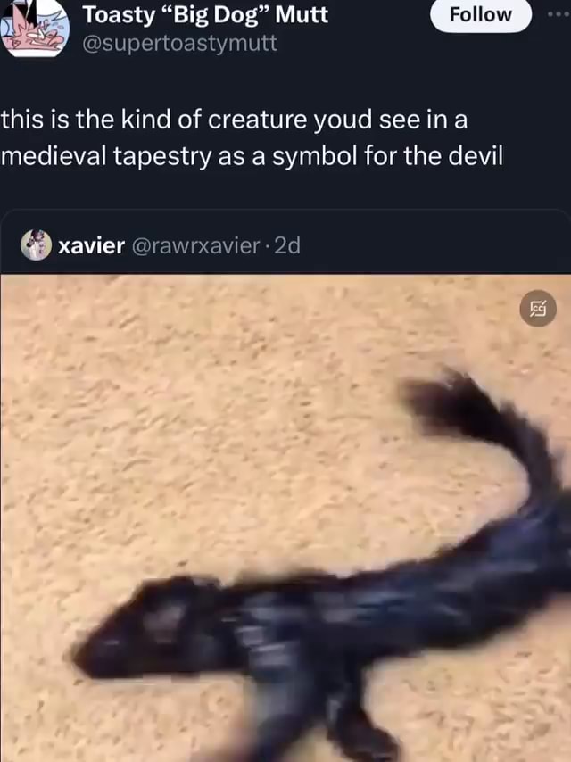 Toasty "Big Dog" Mutt his is the kind of creature youd see ina medieval ...