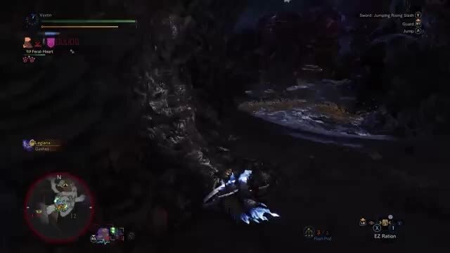 Vaxtin Sword: Jumping Rising Slash (Y) Guard Jump @)s & x W Feral-Heart ...